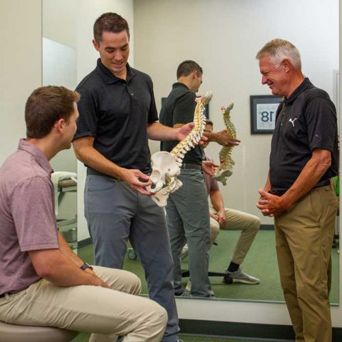 Hamilton Spine Health & Sport - Vitruvian Health